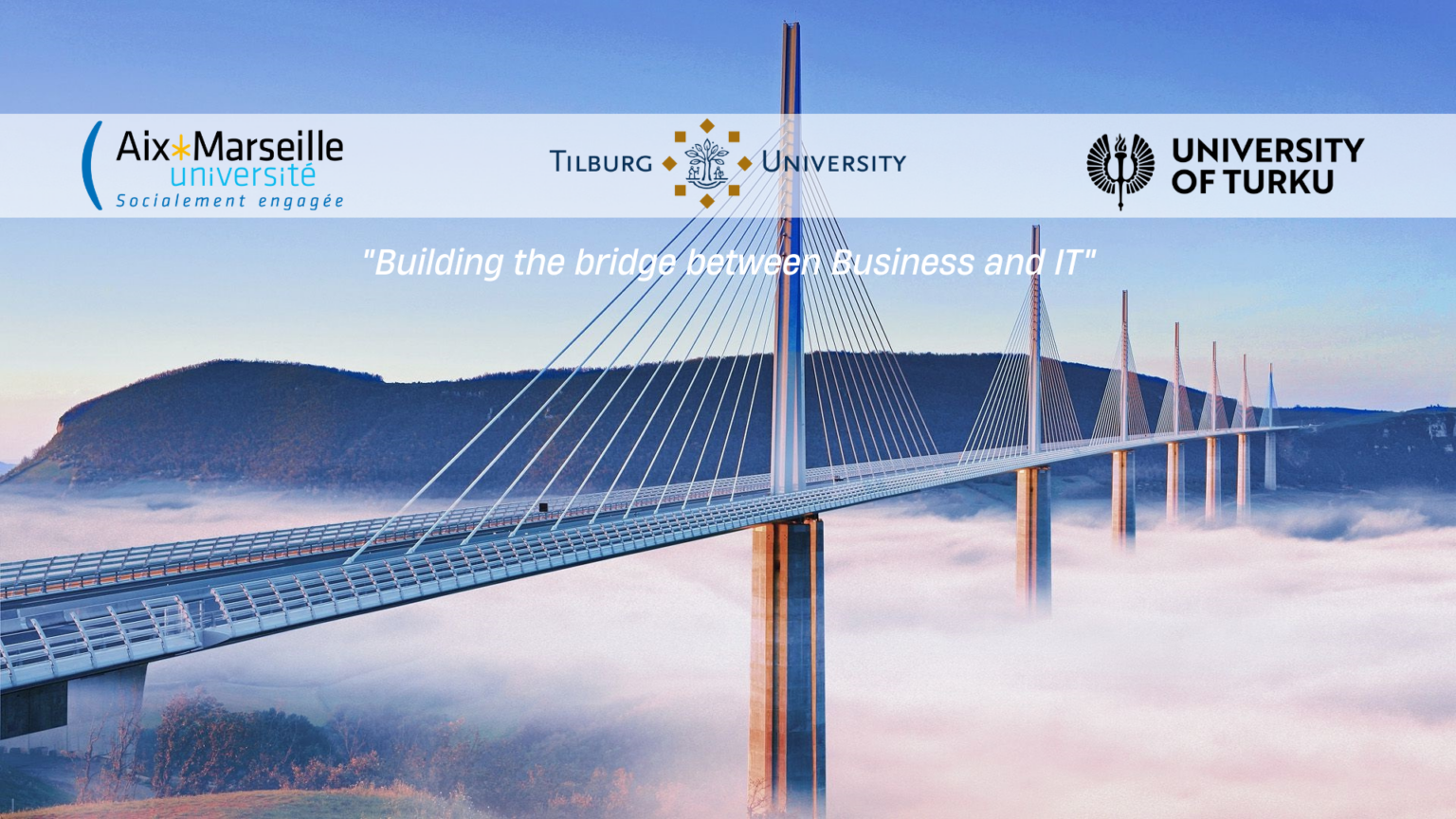 Thesis Robin Bisror - International Master in Management of IT (IMMIT)
